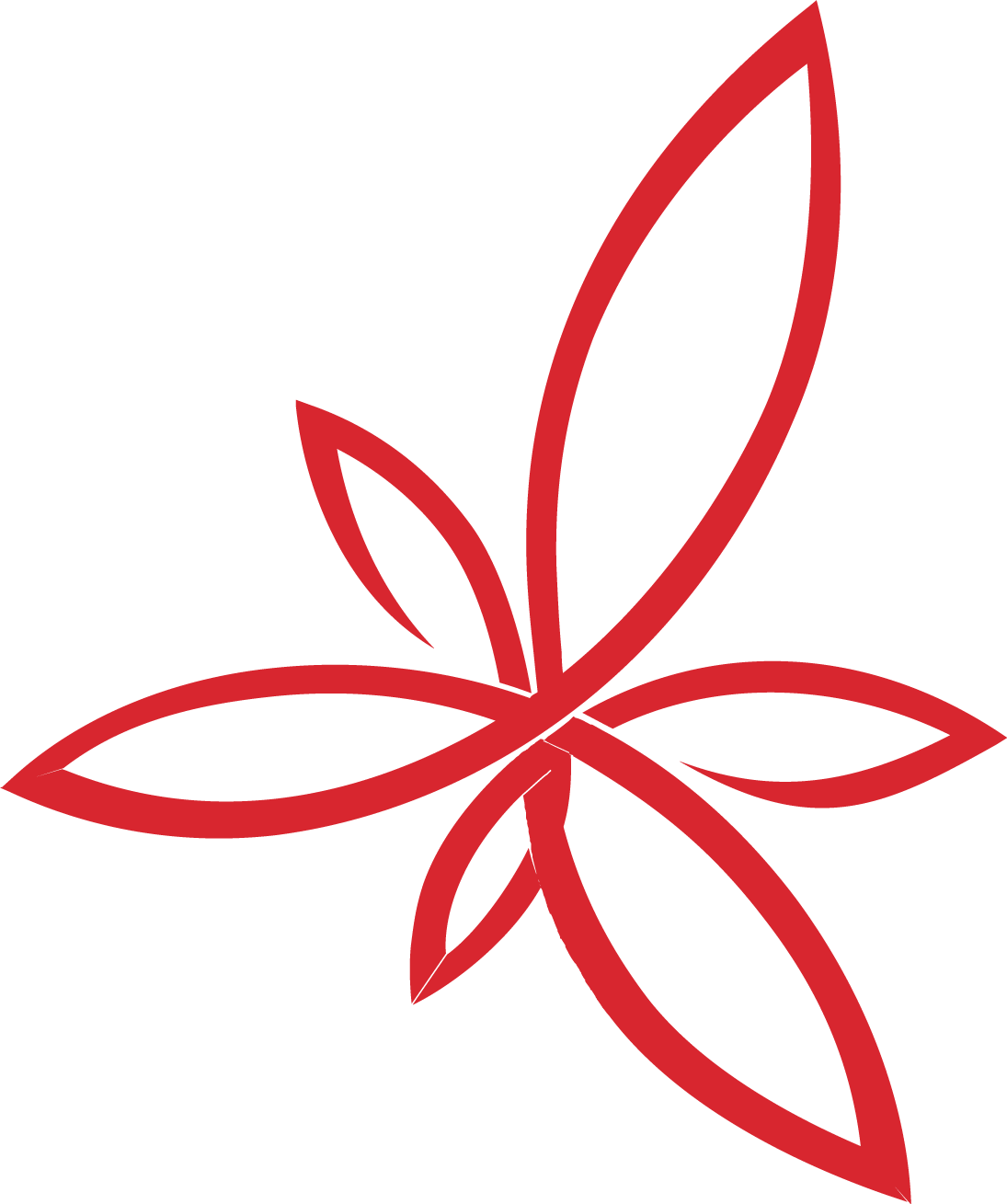 The fastest and most affordable fiber in Jordan